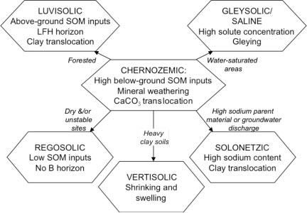 Grassland Soils - Soils of Canada